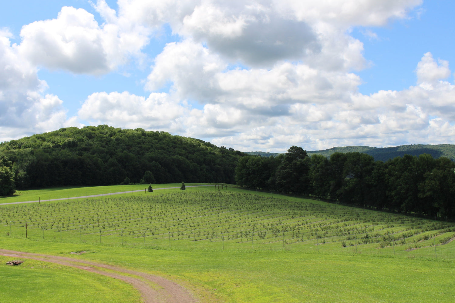 The Farm – North Star Farm