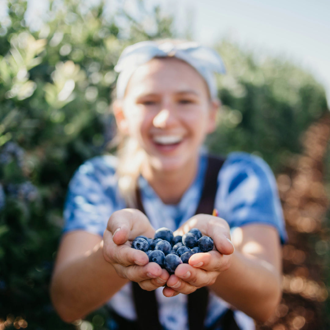Fresh Blueberries | North Star Farm | Franklin, NY