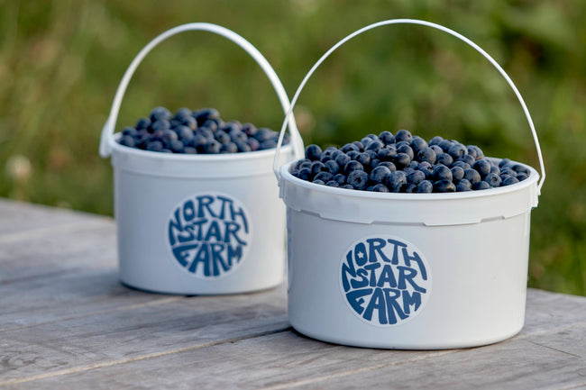 Stay With Us | North Star Farm | Franklin, NY