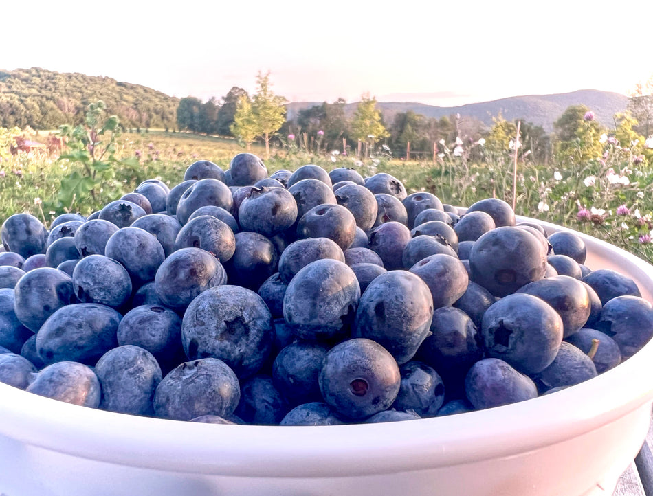 Events – North Star Farm