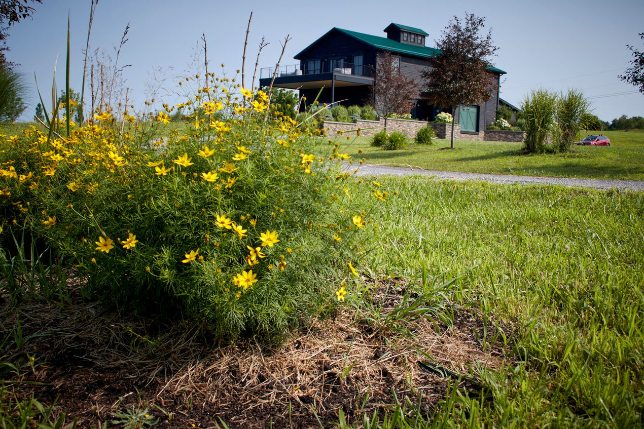 Stay With Us | North Star Farm | Franklin, NY