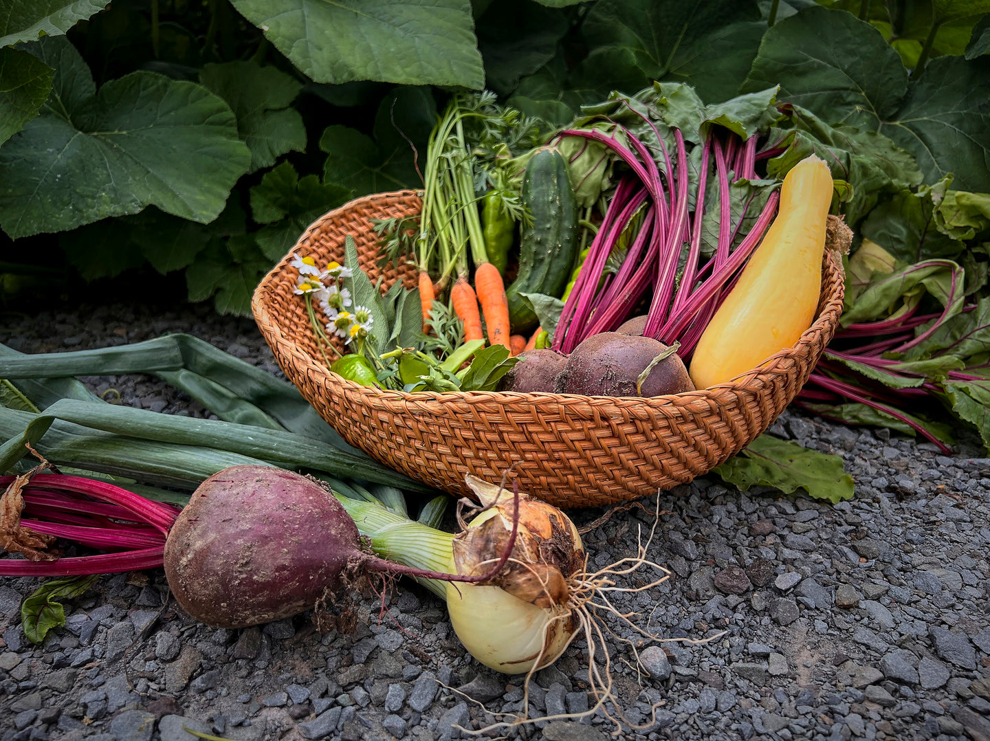 Stay With Us | North Star Farm | Franklin, NY