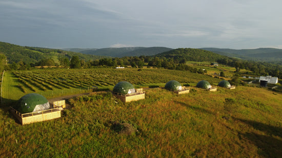 Baseball – North Star Farm